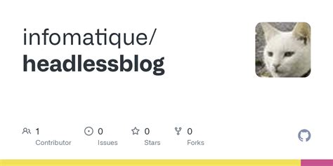 Github Infomatique Headlessblog
