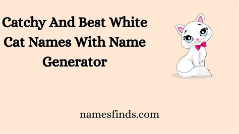 🐾 250 Catchy And Best White Cat Names With Name Generator