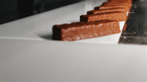 Conveyor Belt In A Chocolate Factory Candy Production Stock Footage