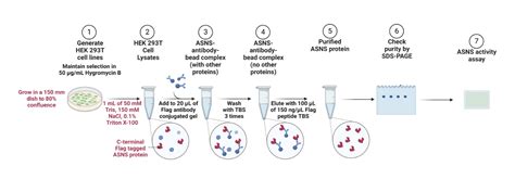 Protein Enrichment Analysis Service Mtoz Biolabs