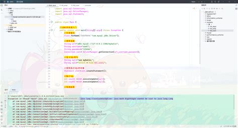 手搓jdbc时报错 Javalangclasscastexception Javamathbiginteger Cannot Be