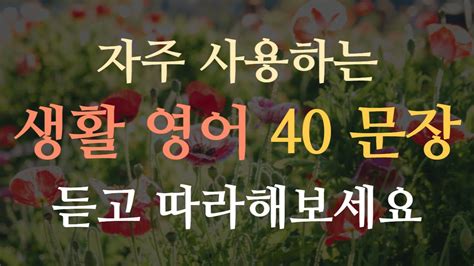 생활영어 자주 사용하는 생활 영어 40문장 듣고 따라해보세요 10분 공부 L 영어회화 L 기초회화 L 반복듣기 4 Youtube