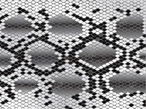 Snake Skin In Black And White Imitation Lozenge Print Vector Imitation