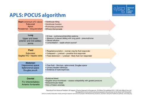 Point Of Care Ultrasound Pocus Algorithm 7e 2023 Pdf