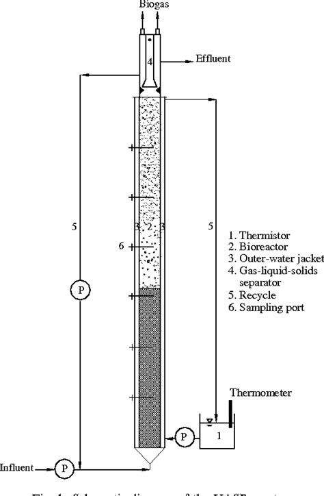 Figure 1 From Comparative Granule Characteristics And Biokinetics Of Sucrose Fed And Phenol Fed
