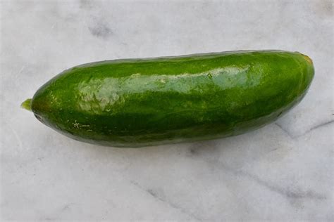 7 Small Cucumber Varieties Plantglossary