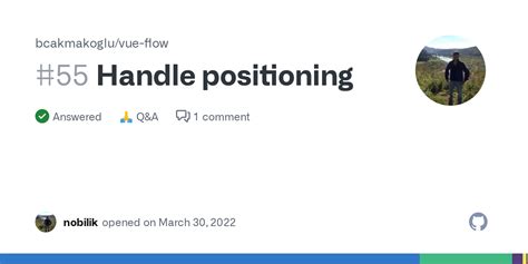 Handle Positioning · Bcakmakoglu Vue Flow · Discussion 55 · Github
