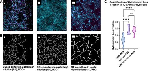Engineering Granular Hydrogels Without Interparticle Cross Linking To Support Multicellular