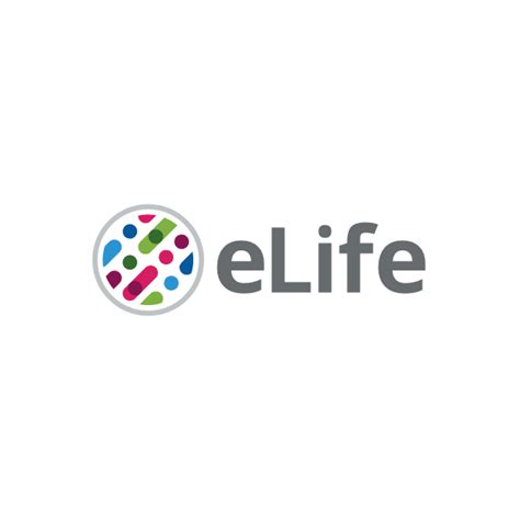 Gsoc 2025 Project 12 Opensourcebrain Developing Standardised Biophysically Detailed Neuronal