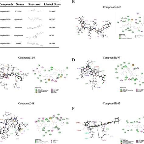 Structure Based Virtual Screening To Identify Potential Inhibitors A