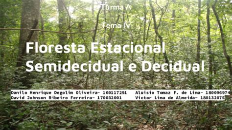 Pdf Floresta Estacional Semidecidual E Decidual Turma A Tema Iv
