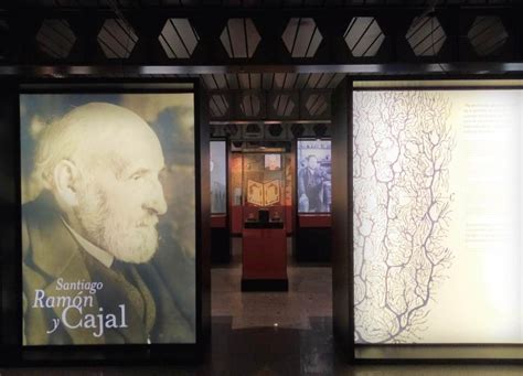 Las Puertas Abiertas Por Ramón Y Cajal Descubre Su Gran Legado Científico