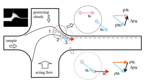 The Structure Of Soft Inertial Separation [9] Download Scientific Diagram