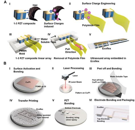 Fabrication Procedure Of A Stretchable Ultrasound Array With Closely Fabrication Procedure Of A Stretchable Ultrasound Array With Closely