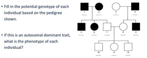 Mendelian Inheritance Flashcards Quizlet