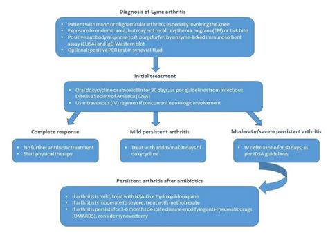 Lyme Disease Symptoms And Treatment Metagenics Institute Lyme Disease Symptoms And Treatment Metagenics Institute