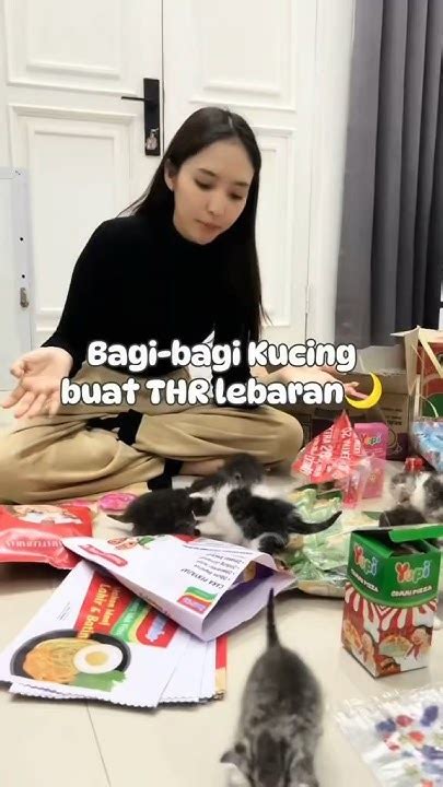 Di Temenin Mpus Mpus Mini😻😻 Youtube