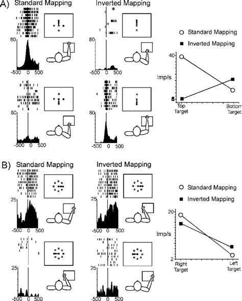 A Activity Of A Neuron In Cmac With Limb Dependent Movement Activity