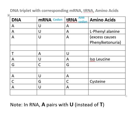 Science Doing Genetic Code Codon Anti Codon Expression In Translation And Laws Of Heredity
