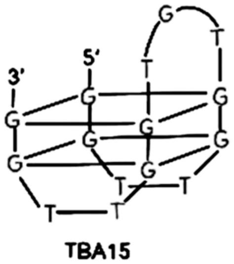 Thrombin Electrochemical Sensor Based On Multi Binding Site Aptamer Eureka Patsnap