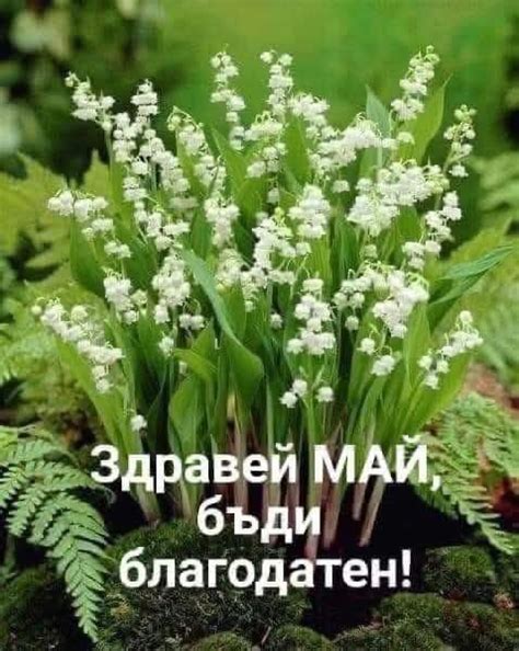 Село Житница общ Провадия с Житница общ Провадия обл Варна Facebook