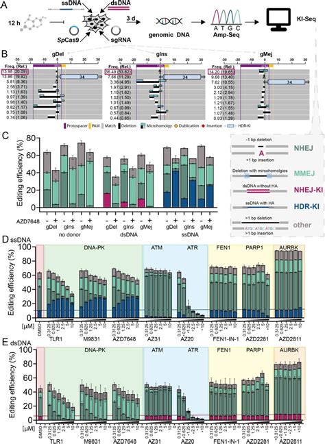 Electroporation Nucleofection Buffer Lonza Bioz