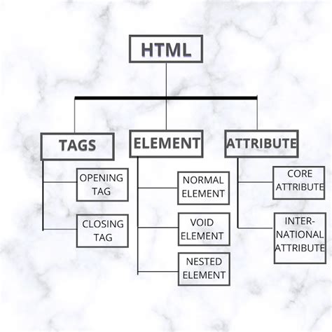 Basics Of Html5 Tags And Html5 Attributes