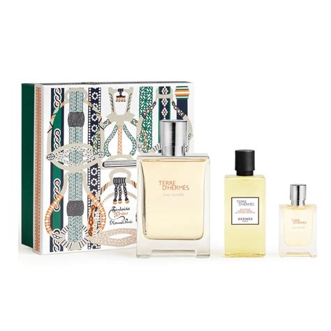 Hermes Terre D Hermes Eau Givree 100ml Eau De Pa Cazaar