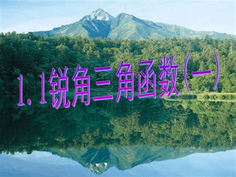 锐角三角函数 完美版ppt课件 Word文档在线阅读与下载 无忧文档