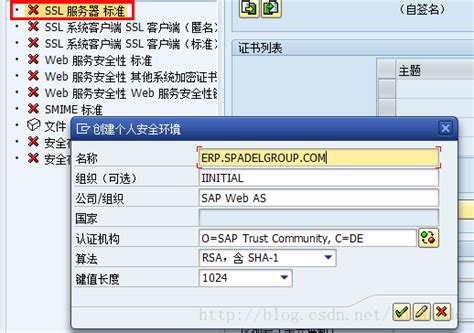 Sap Netweaver Business Client 配置spanserwang的博客 Csdn博客