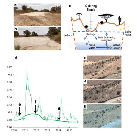 Satvits Flood Satellite Vegetation Index Time Series Flood Detection Model For Hyperarid