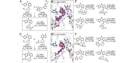 Structure Based Optimization Of Docking Hits A Design Of Ll1 0023 B