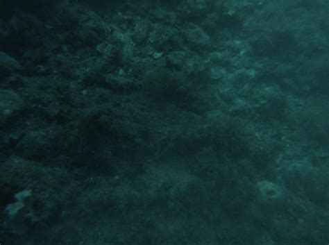 Underwater Pipes Object Detection Model By Roboflow 100