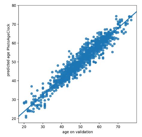 Correlation Between Predicted Age And Actual Age On Validation Dataset