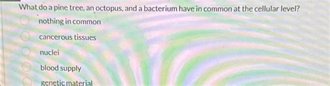 Solved What Do A Pine Tree An Octopus And A Bacterium Have
