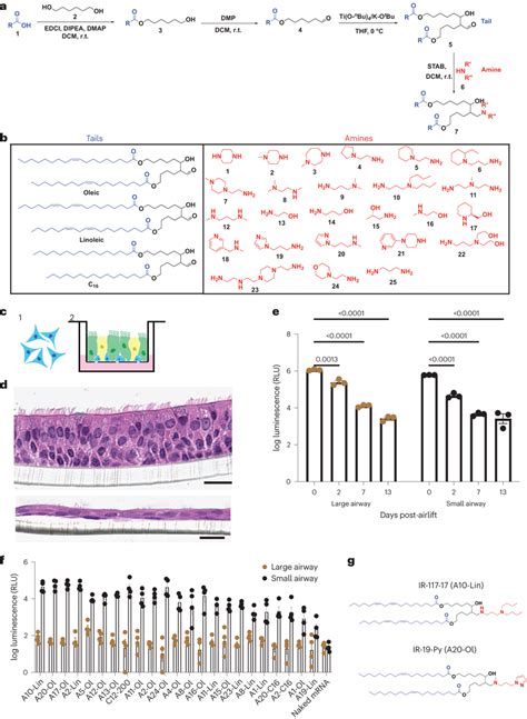 Synthesis And Screening Of A Biodegradable Lipid Library A Four Step Download Scientific
