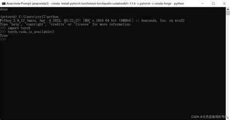Pytorch环境配置（anaconda安装独显cudacudnnanaconda 查看gpu Csdn博客