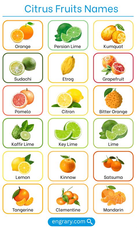 Citrus Fruit Names In English With Types And List • Engrary