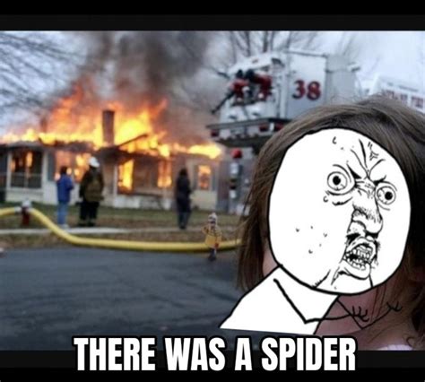 The Best Spider Memes Memedroid
