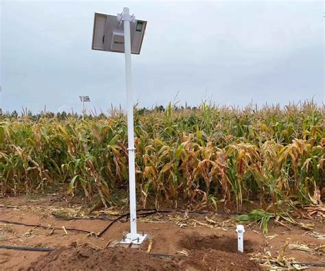 Soil Water Content Sensor
