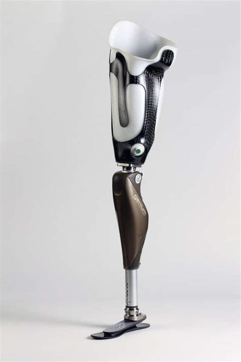 Lower Limb Prosthetics Pmandr Knowledgenow
