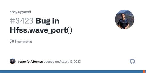 Bug In Hfsswaveport · Issue 3423 · Ansyspyaedt · Github