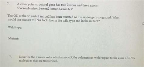 solved 7 a eukaryotic structural gene has two introns and