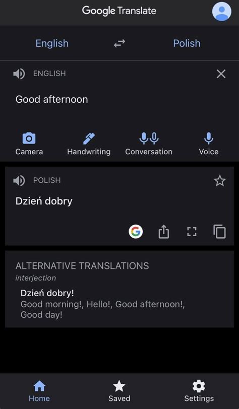 Google Translate App Camera Rarehon