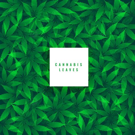 Background Latar Belakang Pola Daun Ganja Hijau Botani Daun Daun Bersama Latar Belakang Untuk