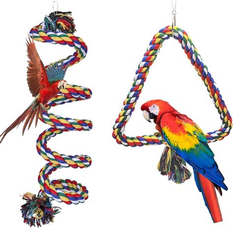 Oiseau Bungee Mâcher Spirale Corde Perchoir Perroquet Corde Perruche