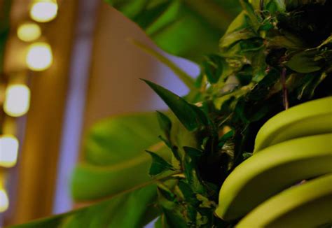 how to make string of bananas fuller allotinabox