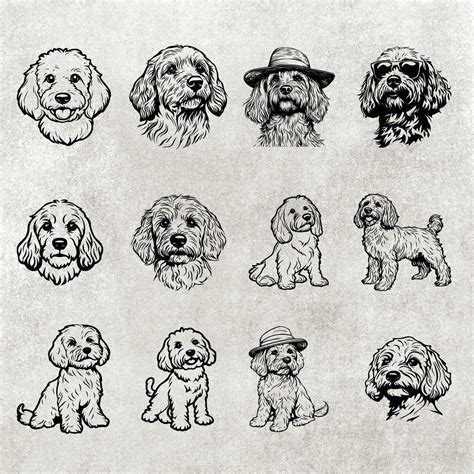 Cockapoo Svg Bundle Cockapoo Silhouette Cockapoo Clipart Vector