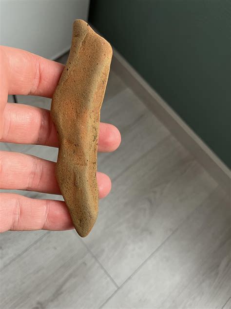 Please Identify This Fossil R Paleontology