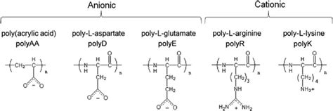 Anionic And Cationic Polyelectrolytes Mimic The Amino Acid Residues Of